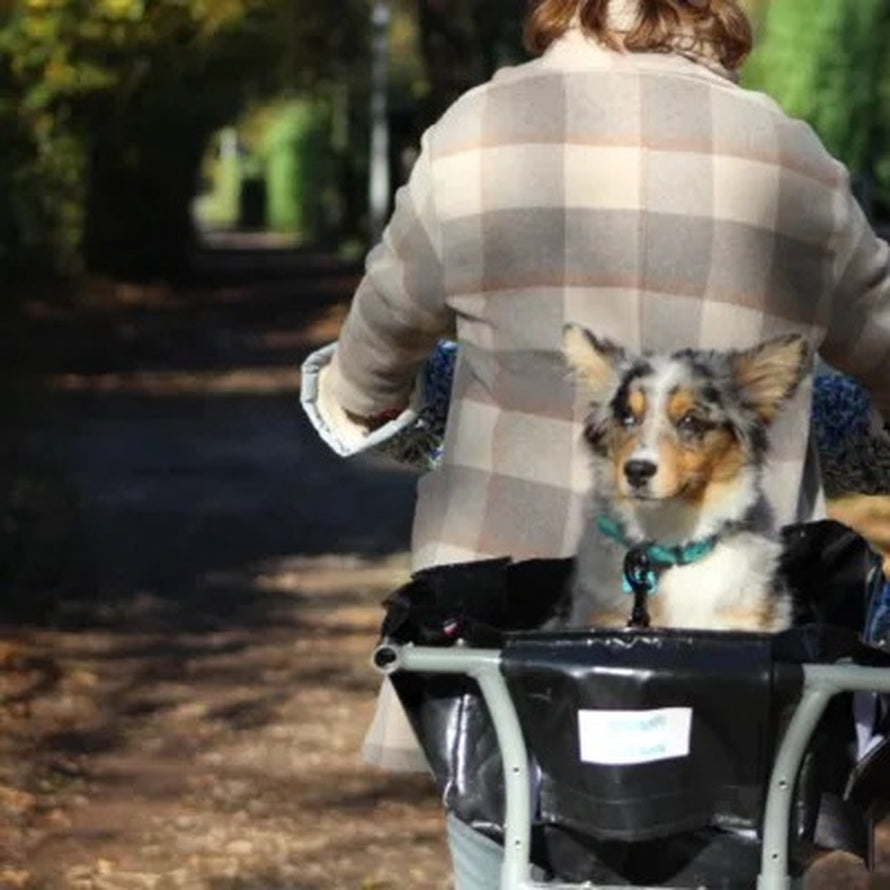 Bacatail Suzon & Suzette | Bac arrière modulable vélo longtail